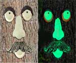 Tree Face Decor - Eyes, Noses & Mouths for Your Trees...