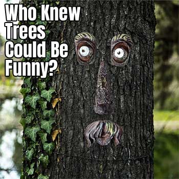 4 Funny Tree Faces - Save Money on a Set